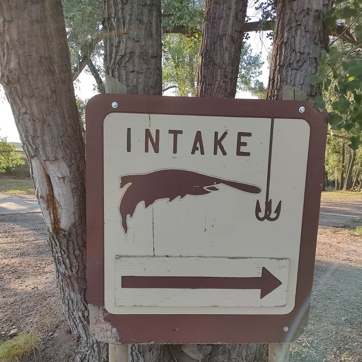 Intake Dam Camping | Glendive, MT