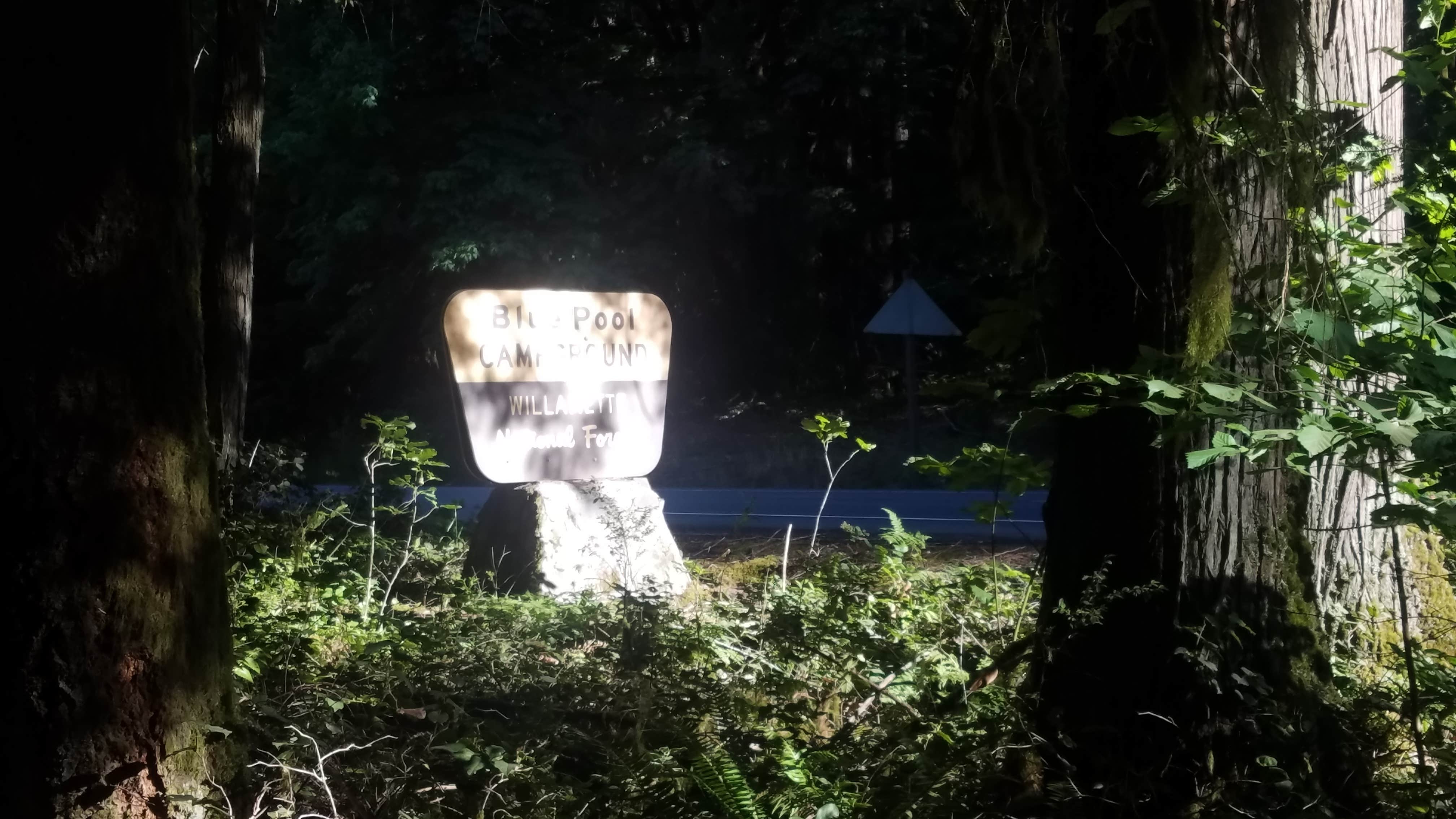 Blue Pool — Willamette National Forest Camping | Oakridge, Oregon