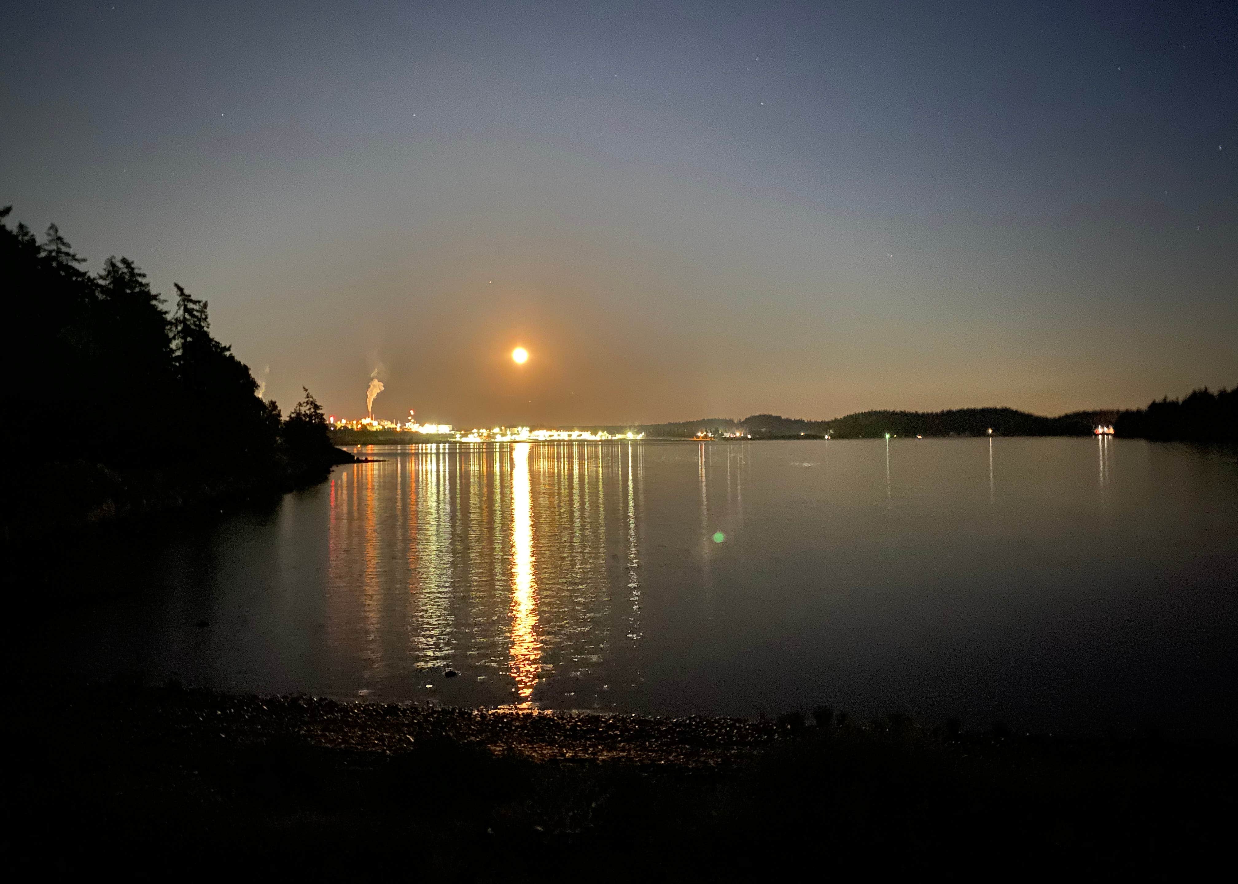 Fidalgo Bay Resort Camping | The Dyrt