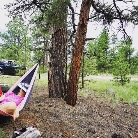 Badger Flats Camping | The Dyrt