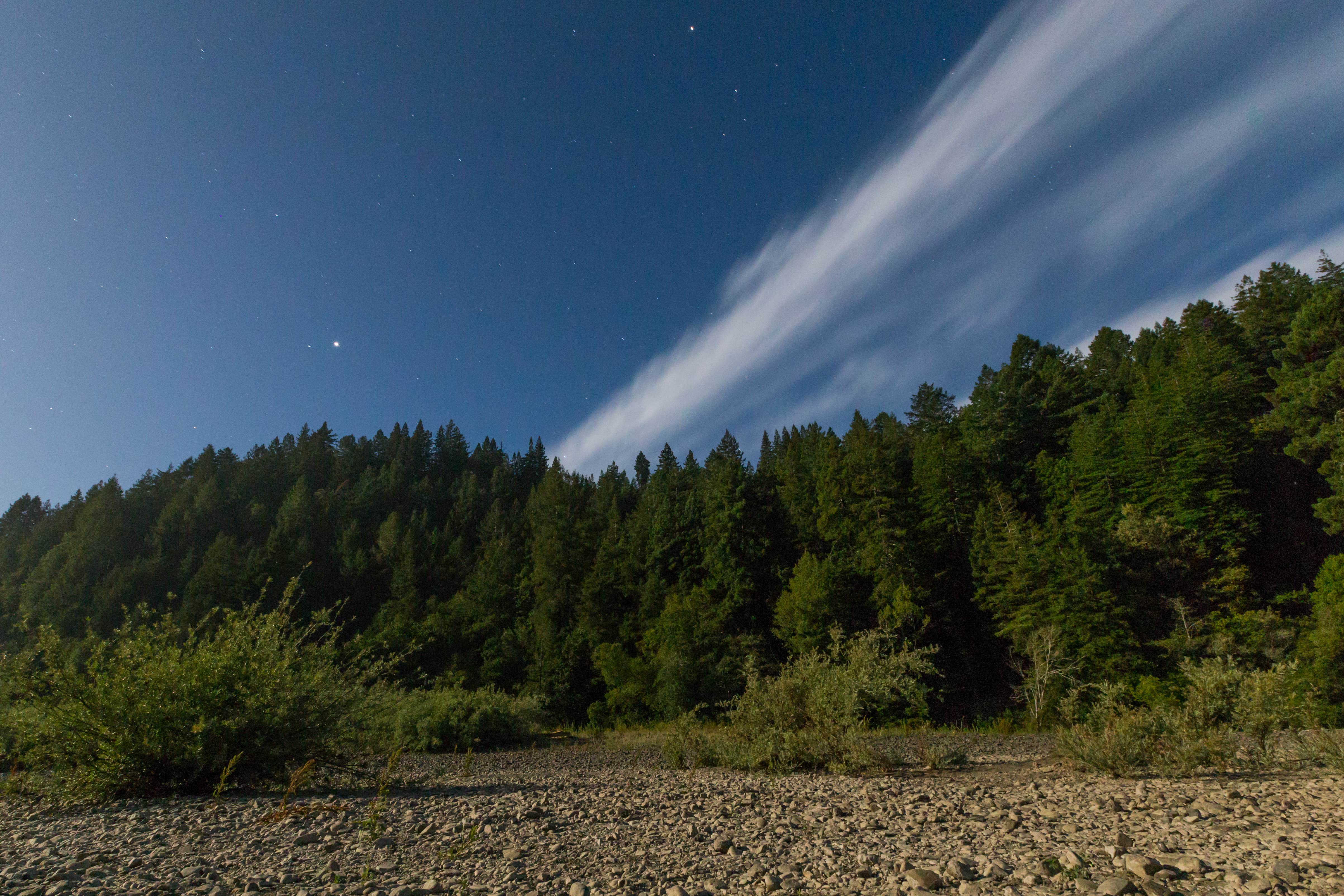 Casini Ranch Family Campground | Duncans Mills, CA