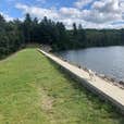 Taylor Pond Camping | The Dyrt