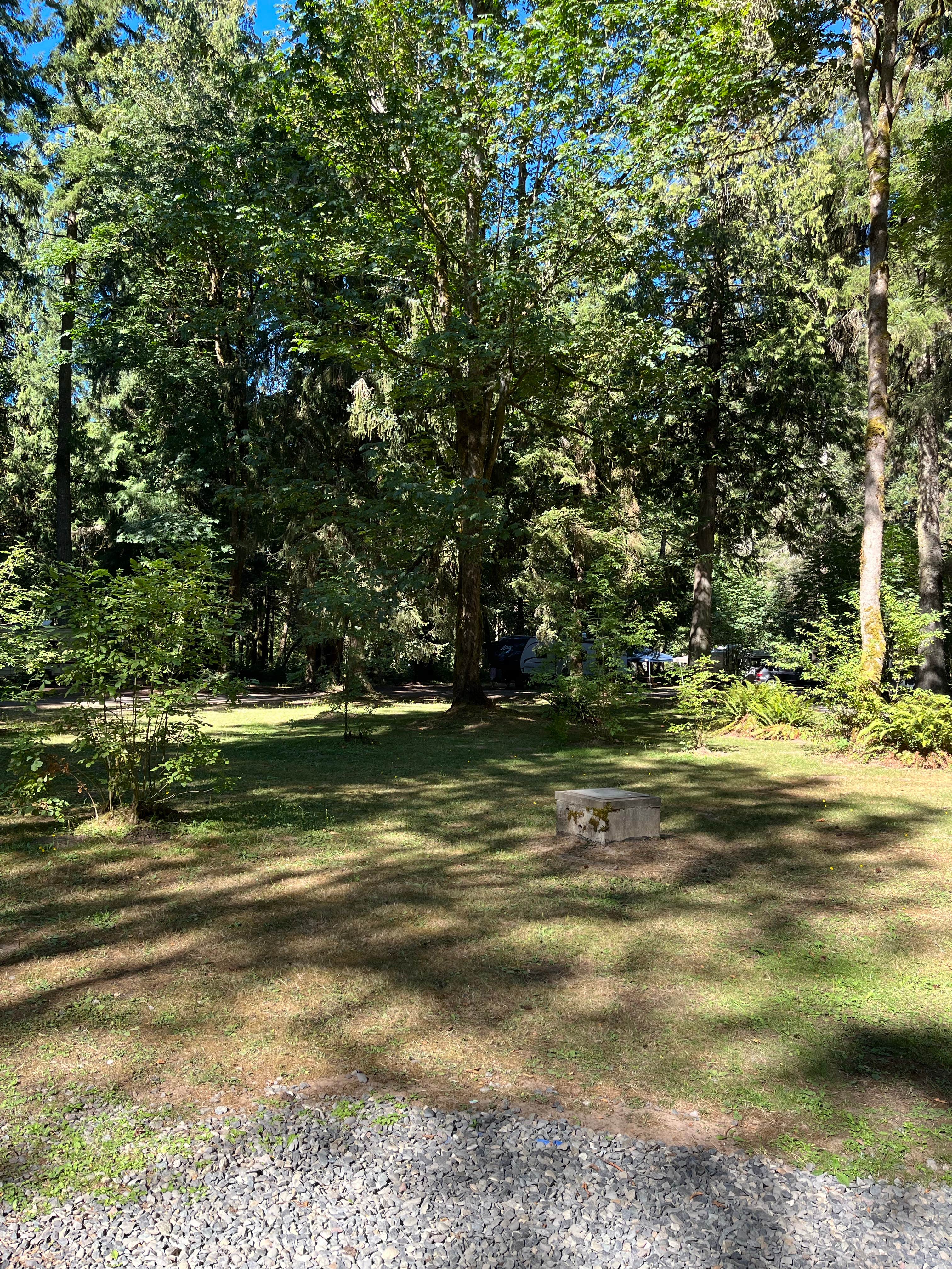 THE 10+ BEST Campgrounds near Longview, WA