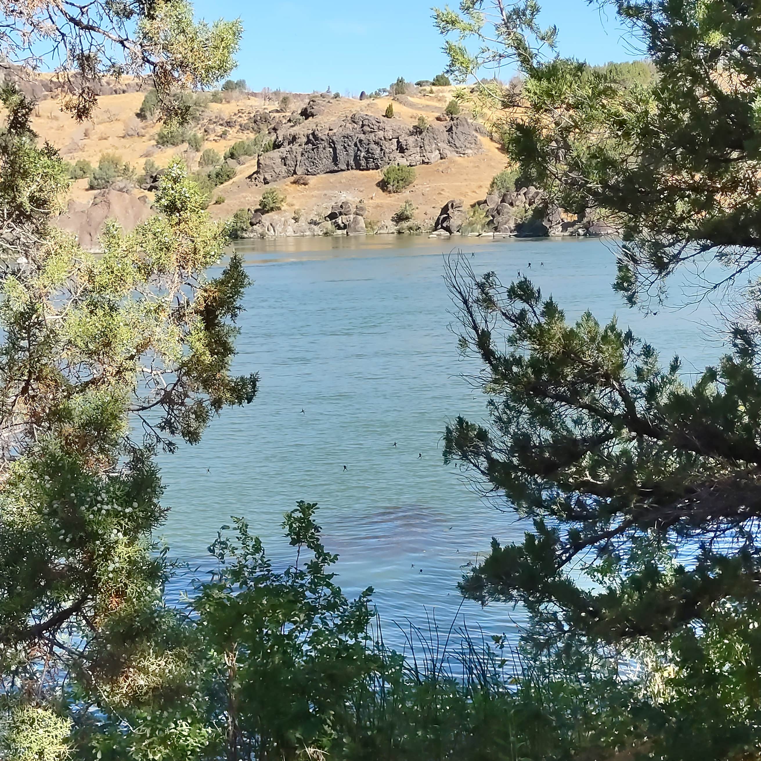 Massacre Rocks State Park Camping | The Dyrt