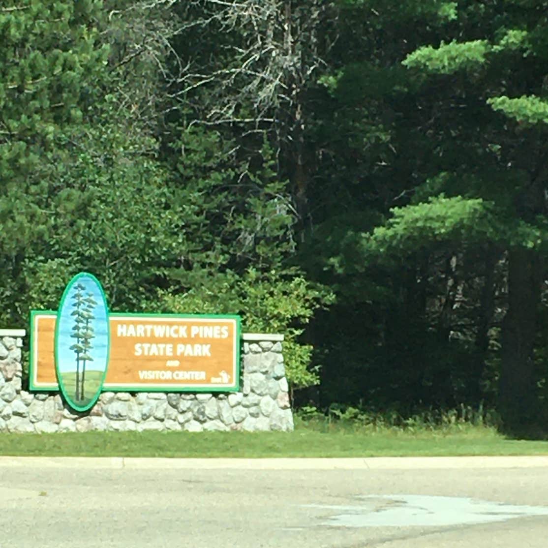 Hartwick Pines State Park Campground | Frederic, Michigan