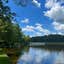 Turkey Fork Rec Area Camping | Richton, Mississippi