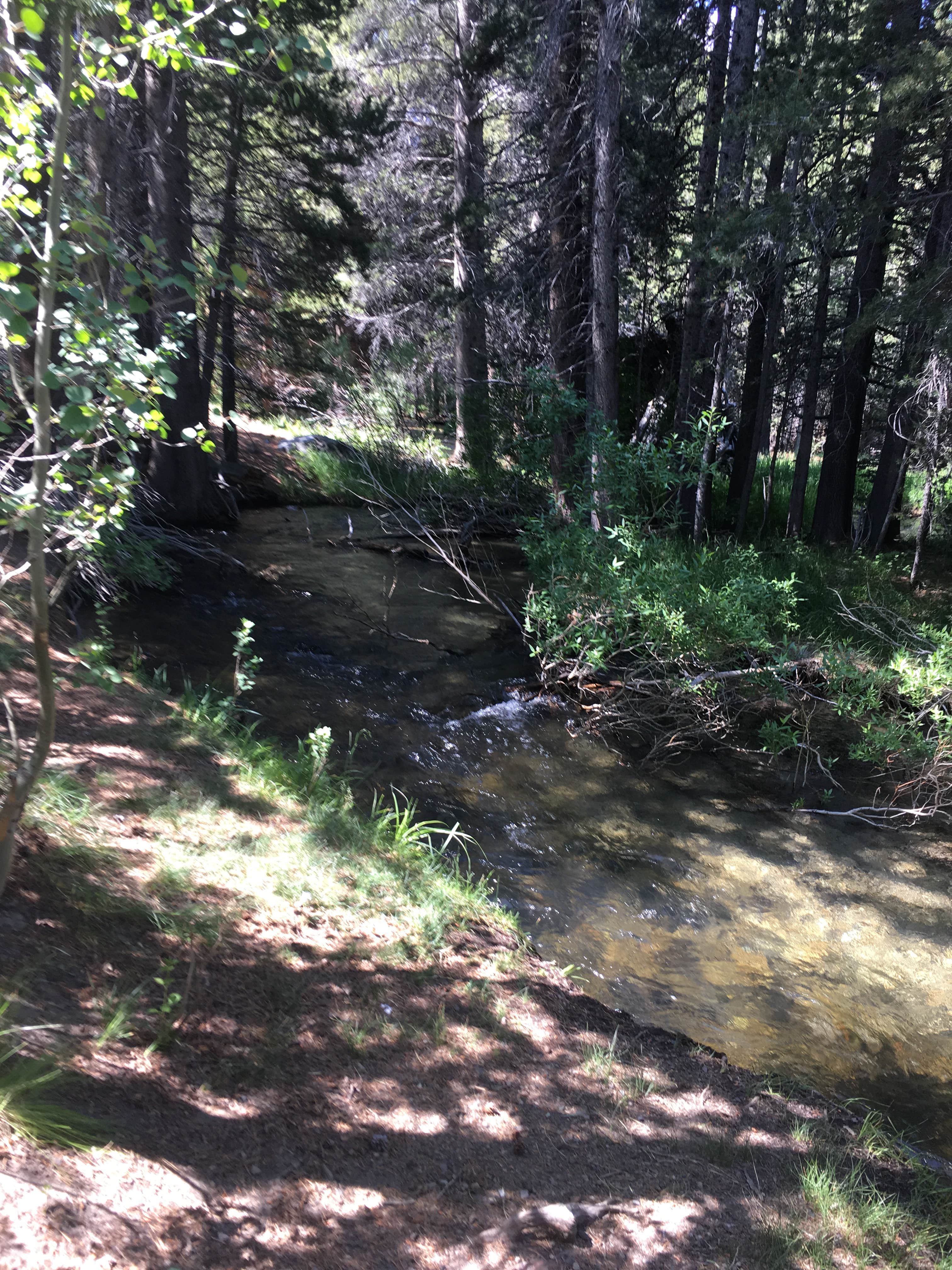 Aspen Campground | The Dyrt