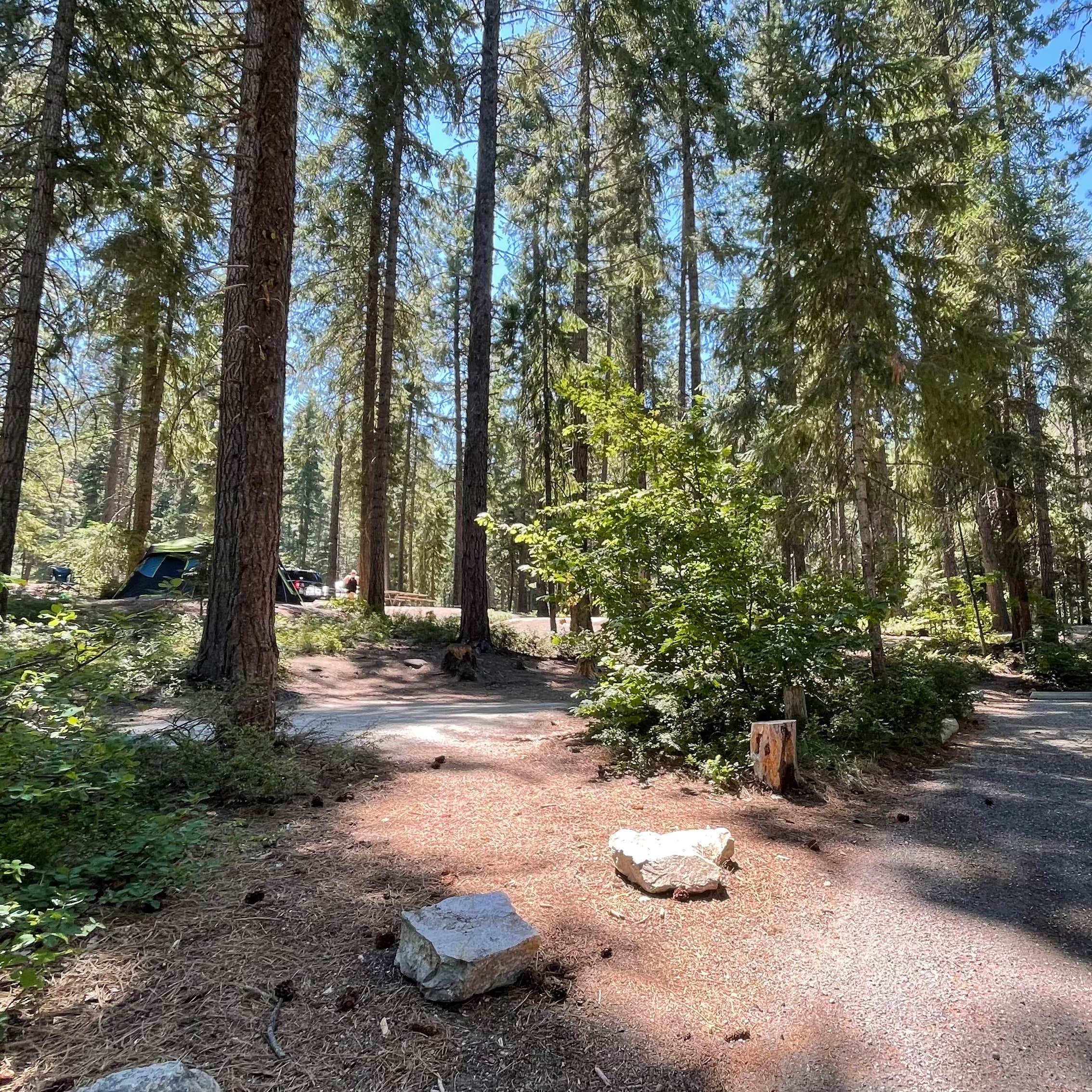 Lake Wenatchee State Park Camping | The Dyrt