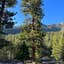 McWilliams Campground | Mount Charleston, Nevada