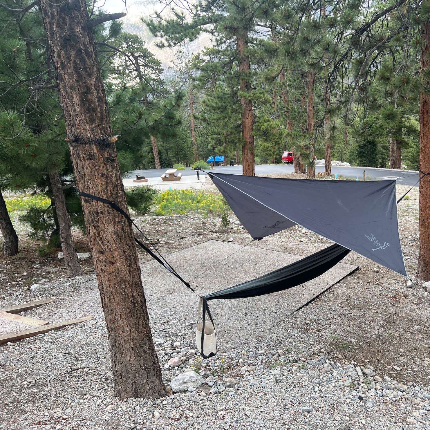 McWilliams Campground | Mount Charleston, Nevada