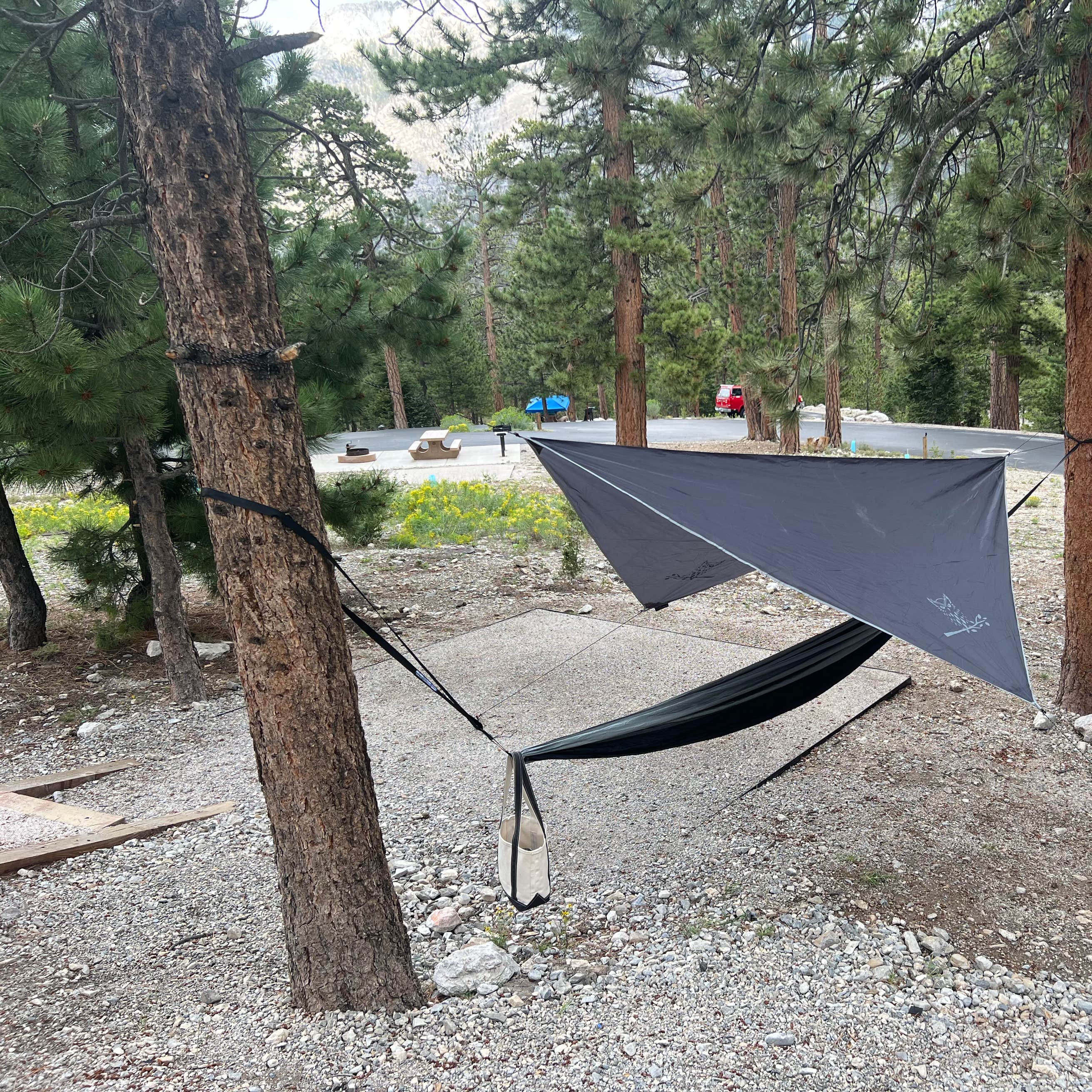McWilliams Campground | Mount Charleston, Nevada