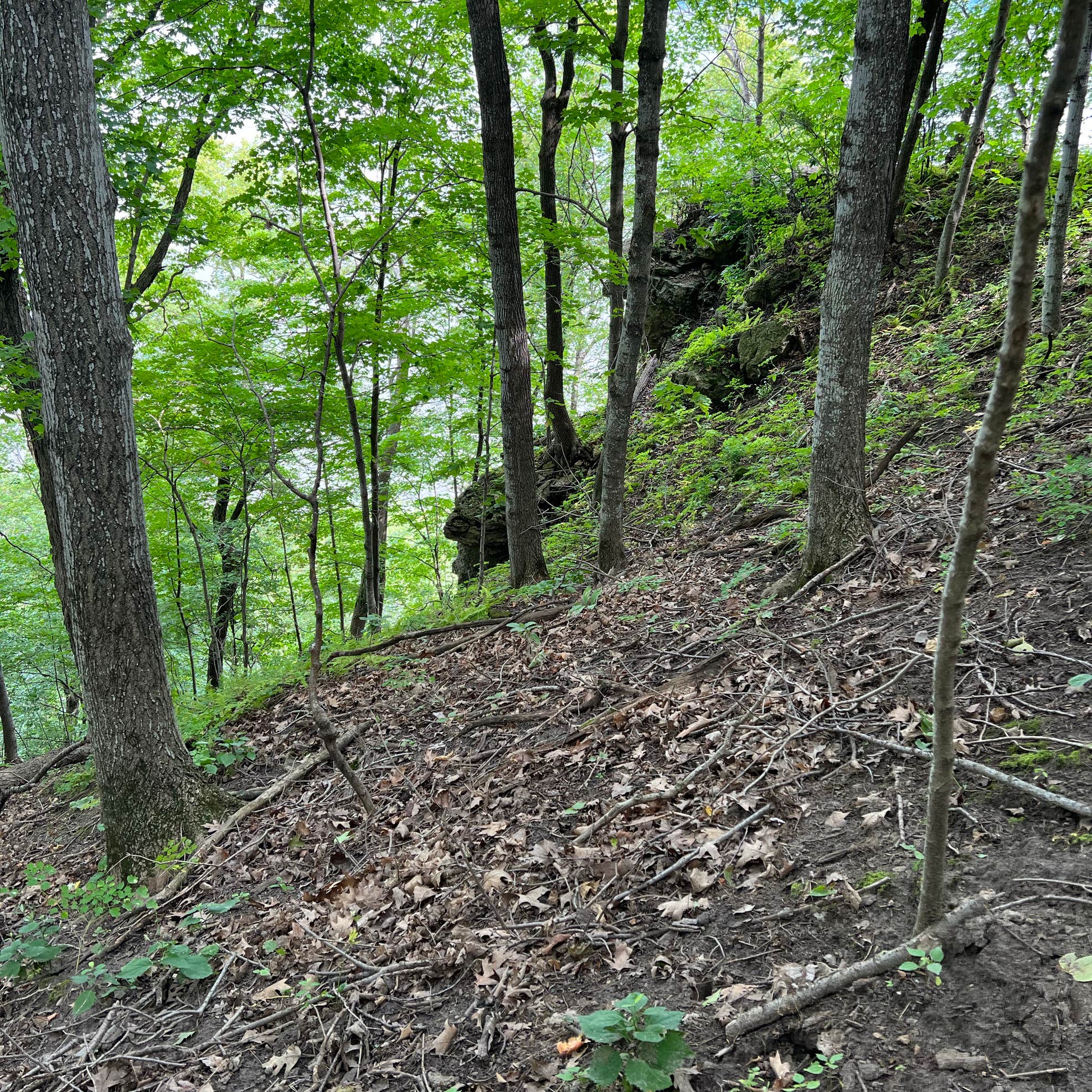 Frontenac State Park Campground | Frontenac, Minnesota