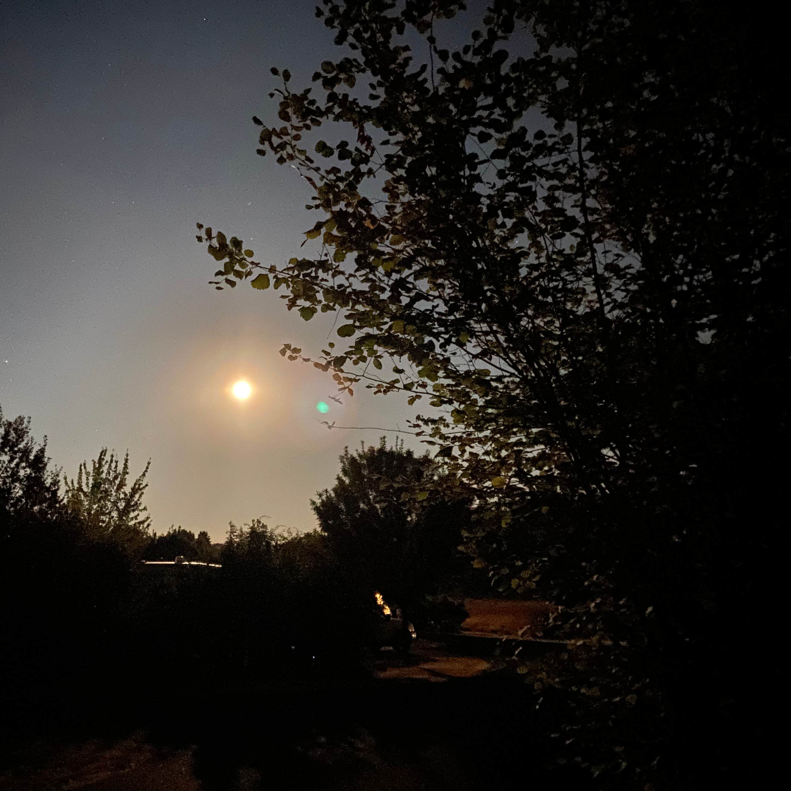 Champoeg State Heritage Area Camping | Donald, Oregon