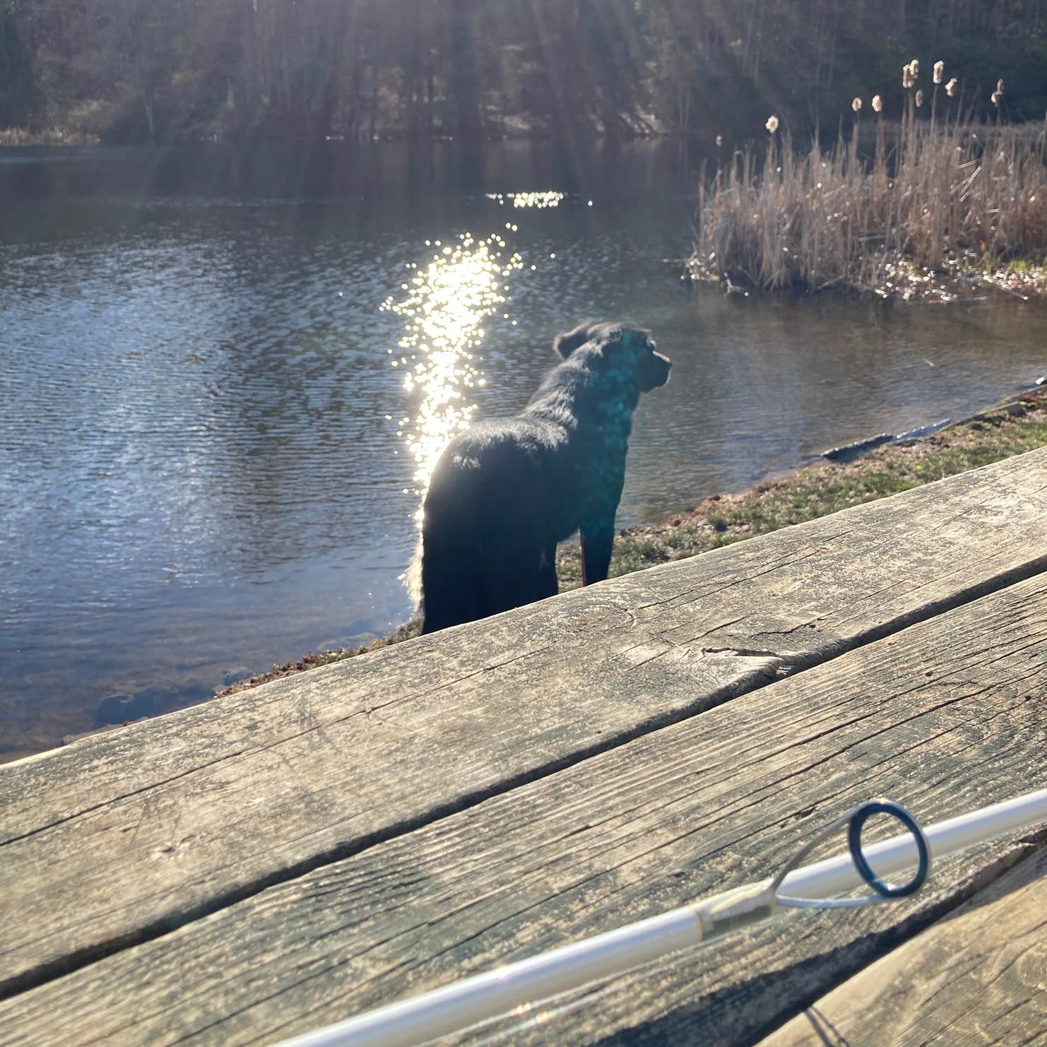 Lake Ridge RV Resort | Hillsville, VA