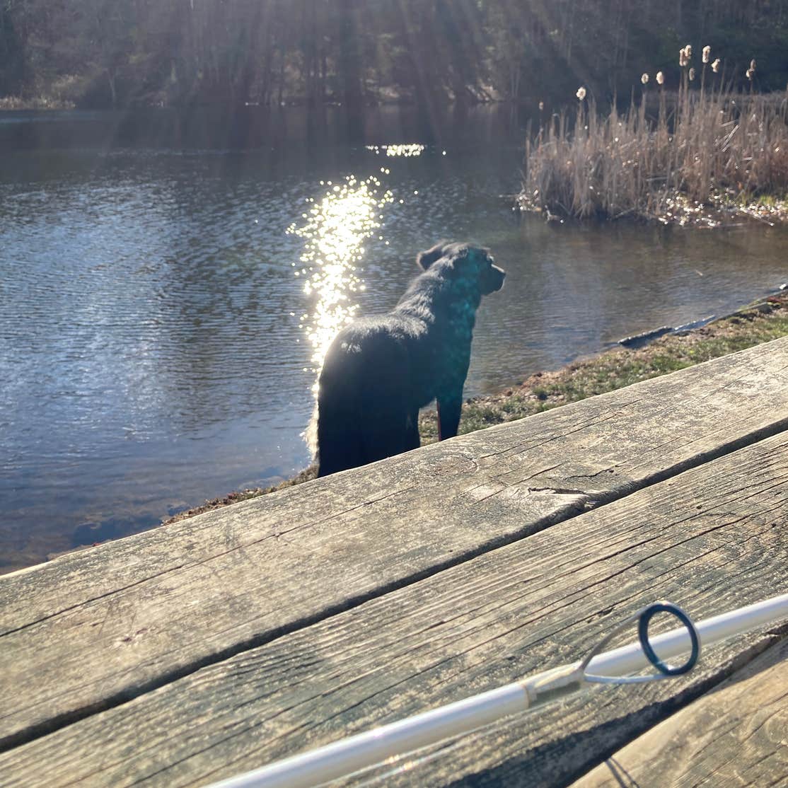 Lake Ridge RV Resort | Woodlawn, Virginia