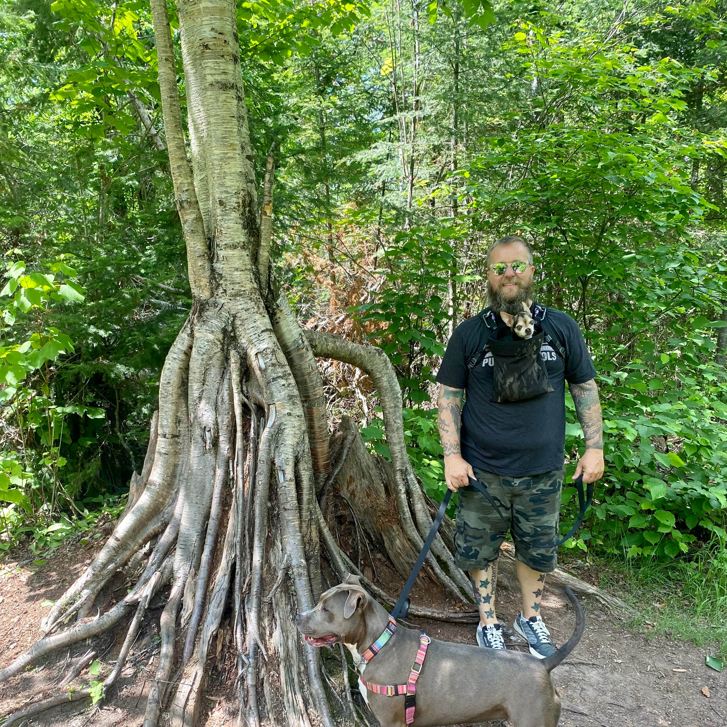 Superior National Forest Fall Lake Campground | Winton, Minnesota