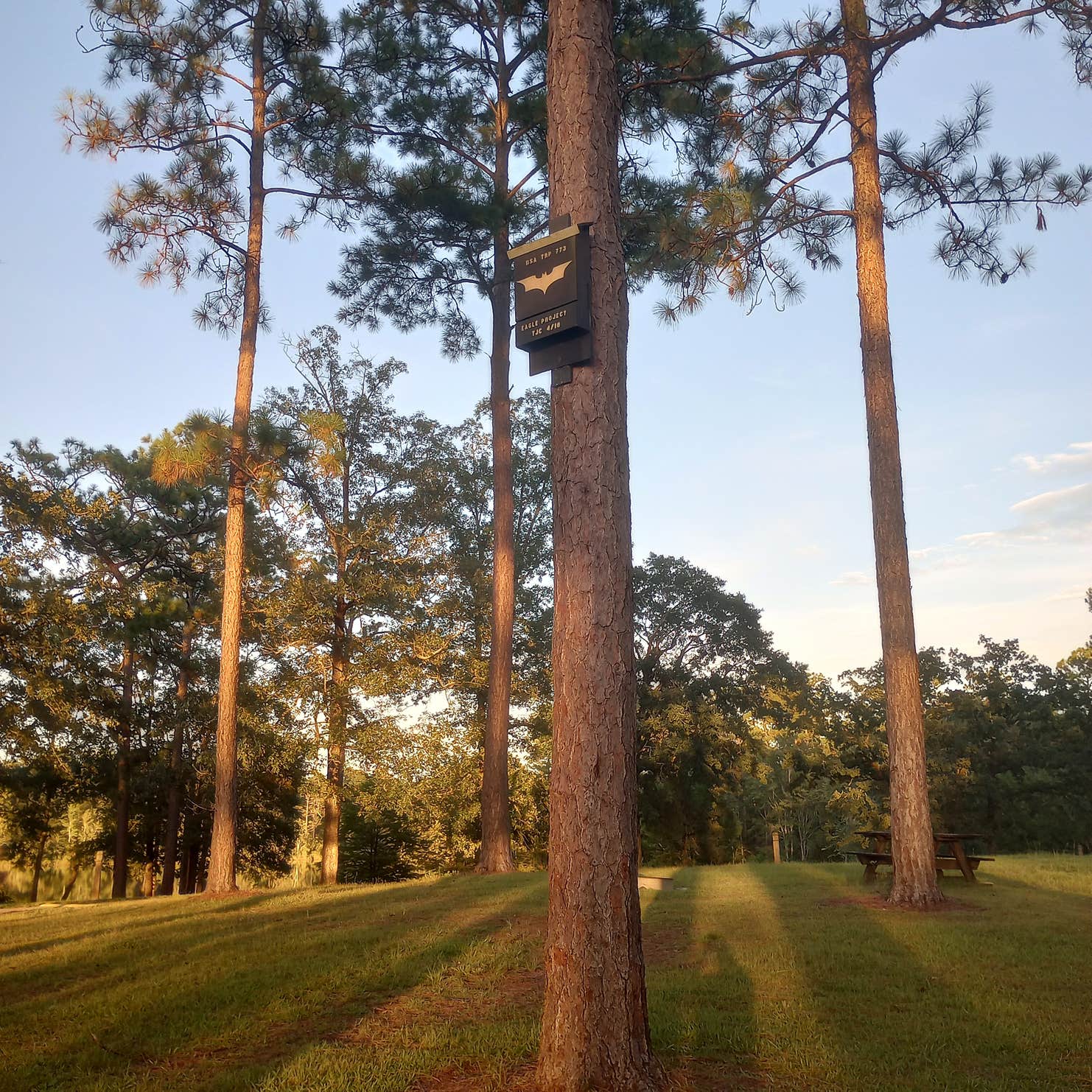 Hurricane Lake South Campground | Wing, Alabama