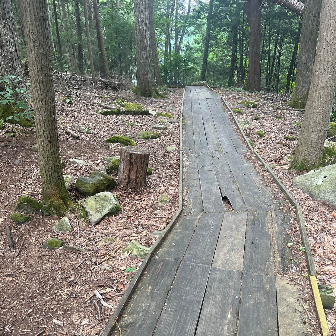 Kettletown State Park Camping | The Dyrt