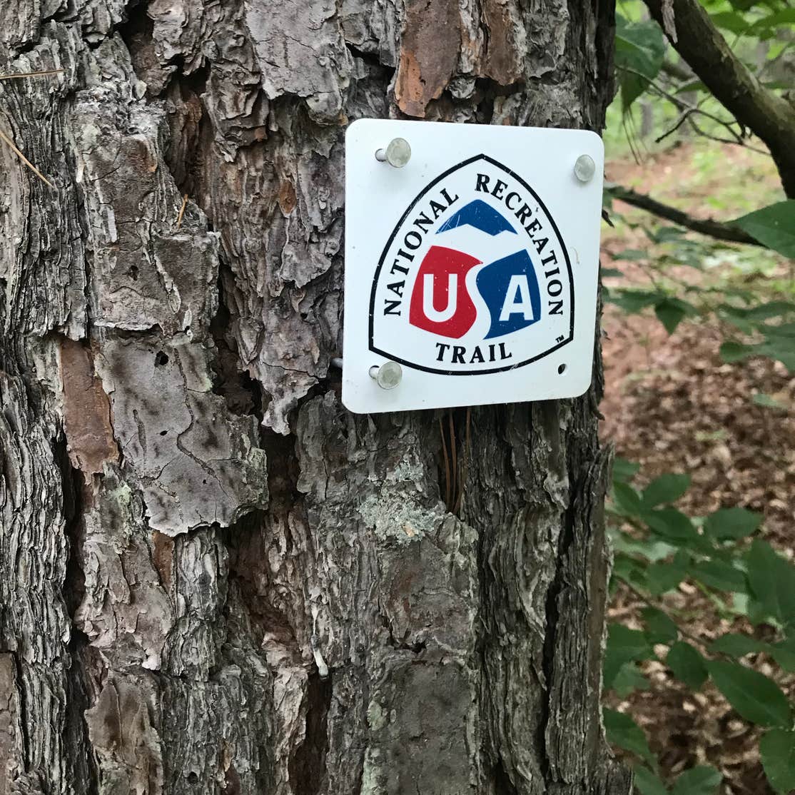 Redding Campground | Ozark, AR