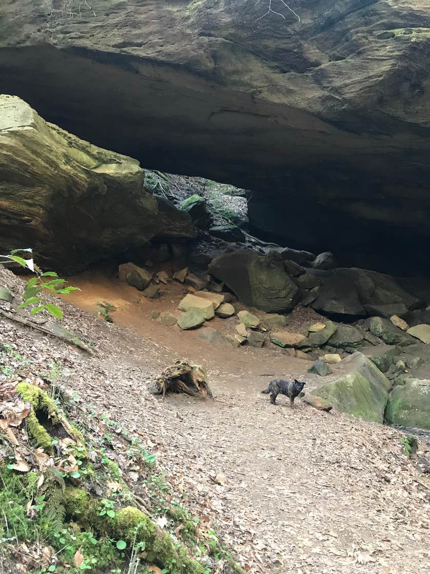 Whittleton Campground - Natural Bridge SRP Camping | The Dyrt