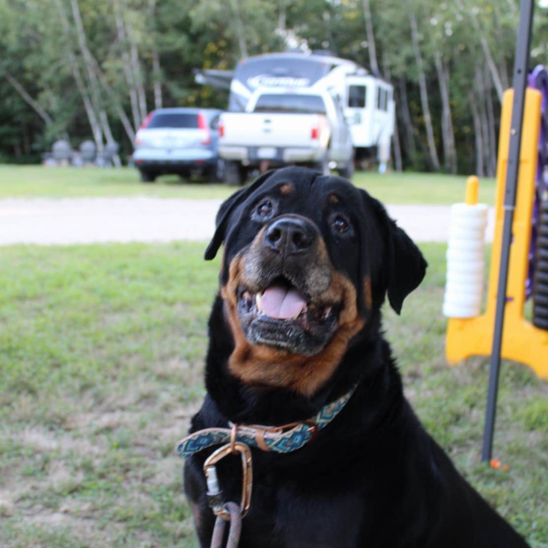 Cole's Mine RV Resort and Campground | Lebanon, ME