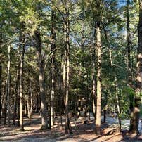 Fort Dummer State Park Campground | Guilford, VT