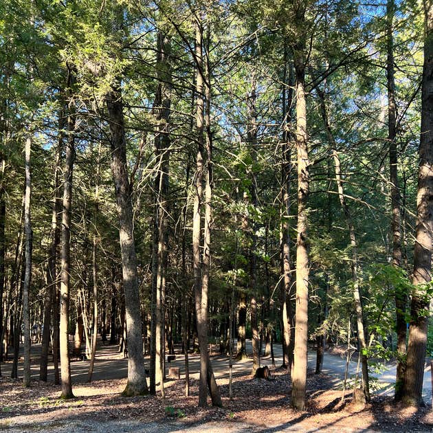 Fort Dummer State Park Campground | Guilford, VT