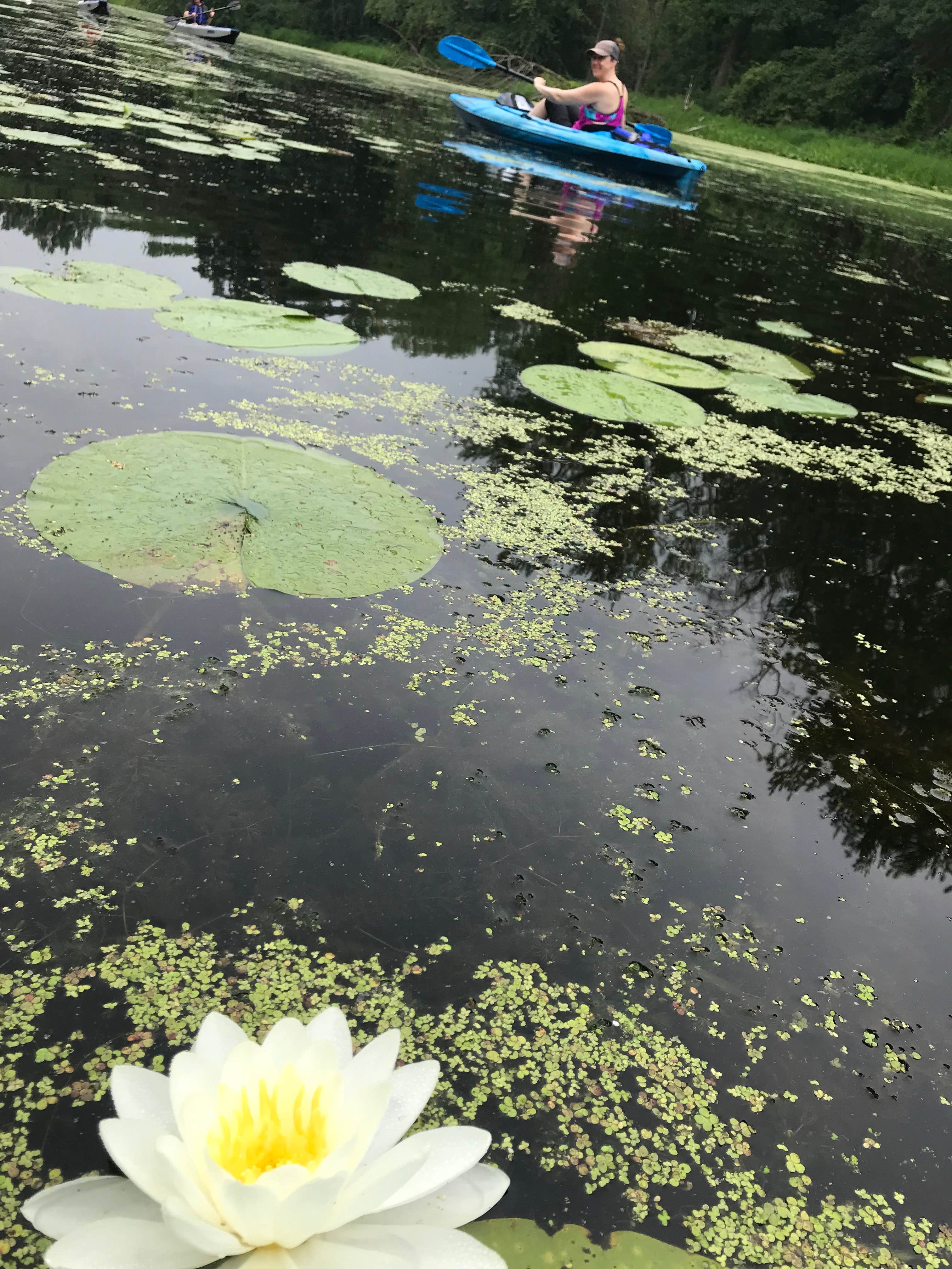 Merrick State Park Campground | Fountain City, WI