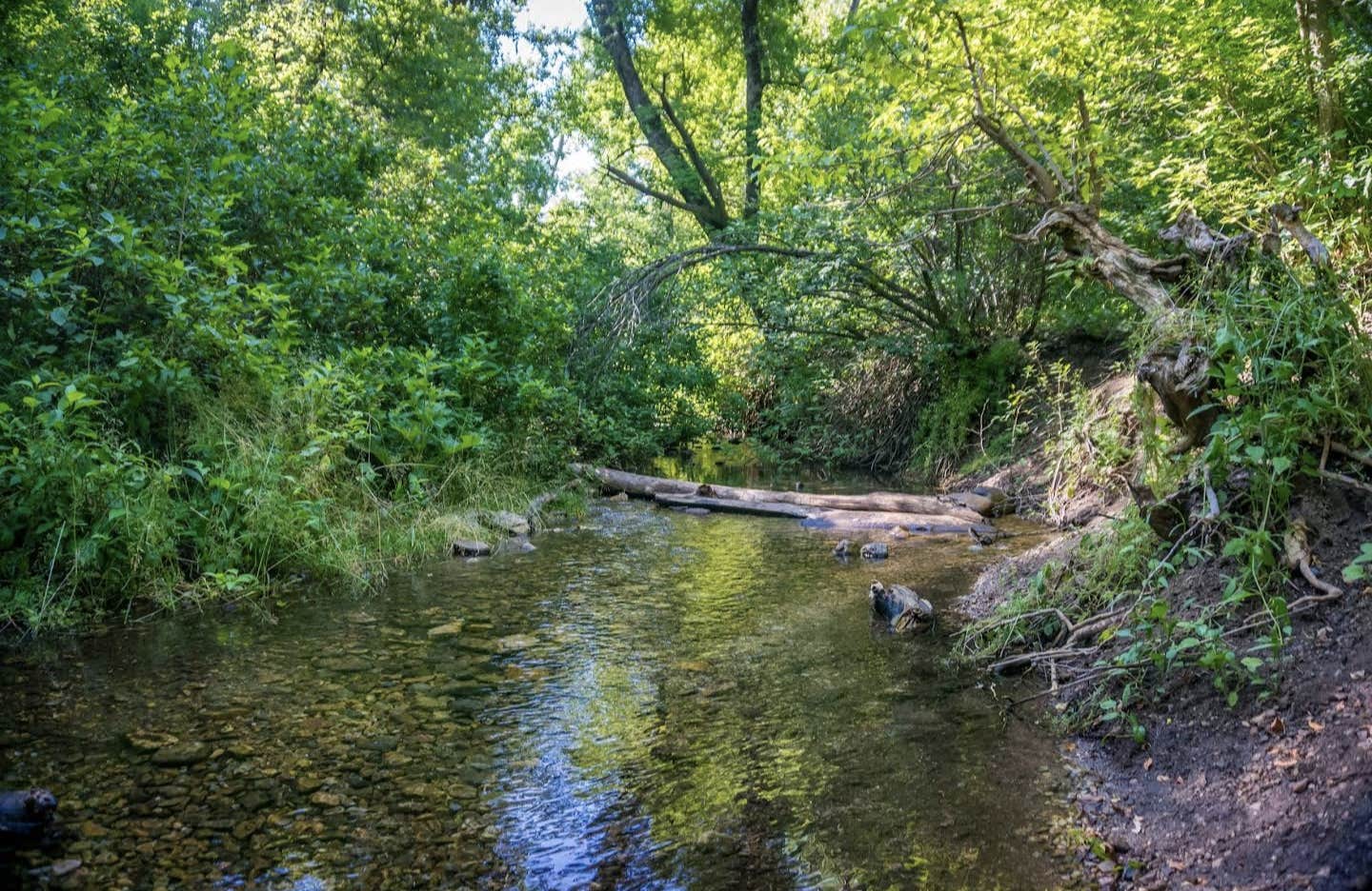 Box Elder Campground | Mantua, UT