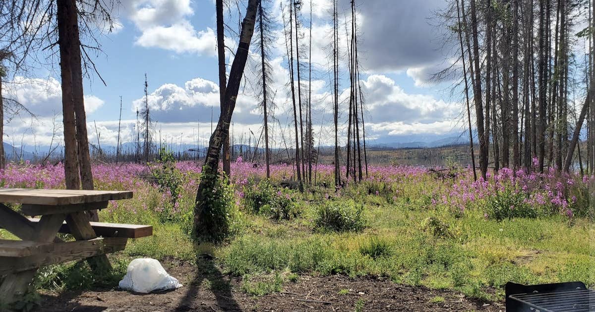 Camper-Submitted Photos of Kelly Lake Campground