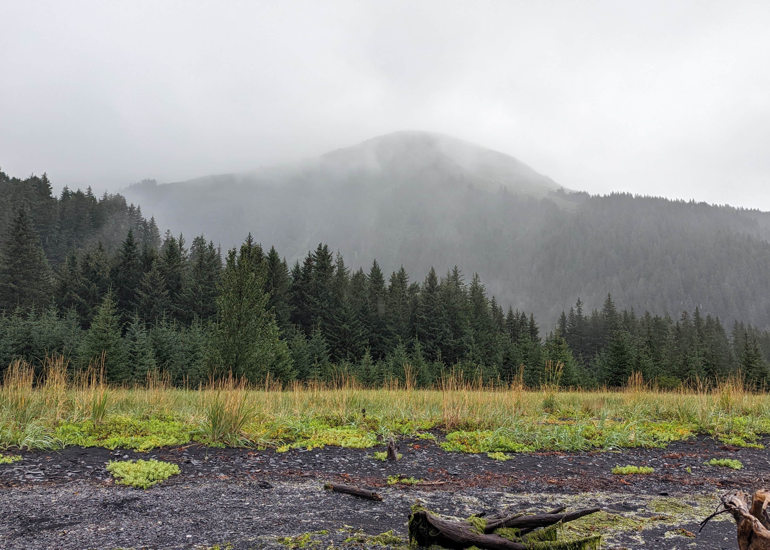 Tonsina Point at Caines Head Camping | The Dyrt