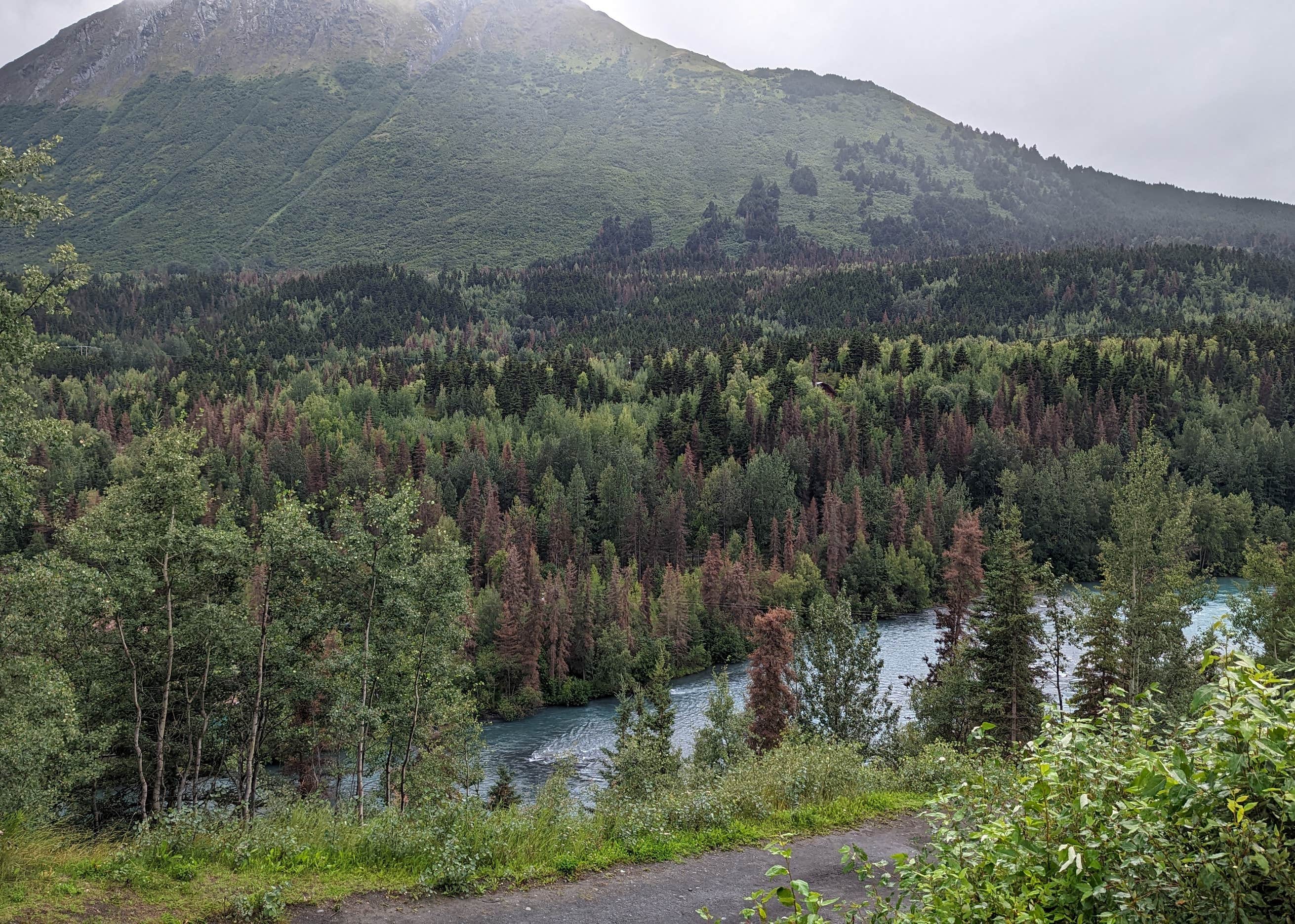 Kenai Princess Wilderness Lodge & RV Park Camping | The Dyrt