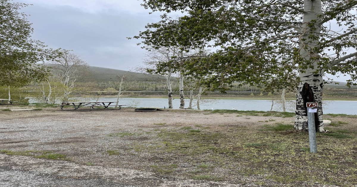 Mountain View Campground — Scofield State Park | Helper, Utah