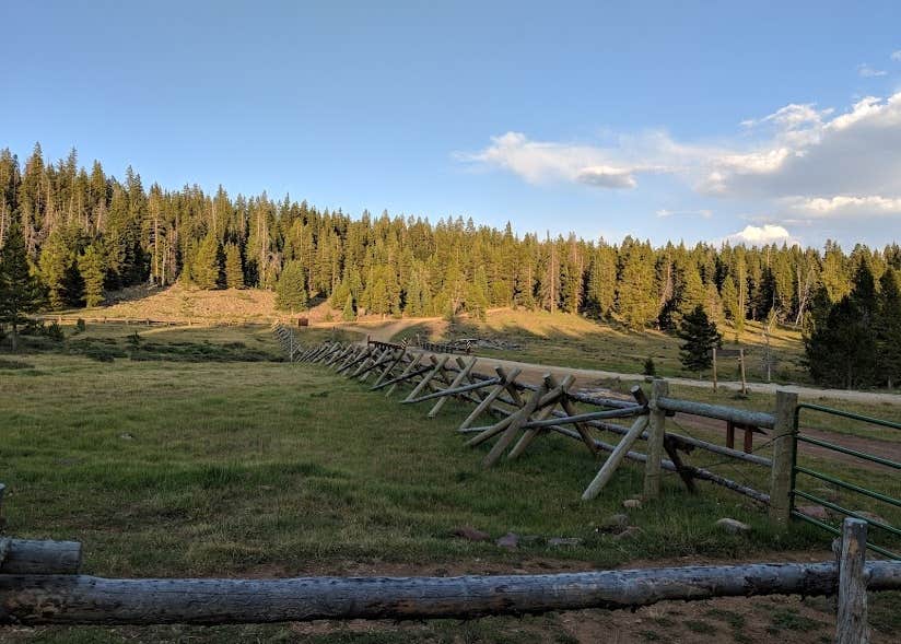 Ashley National Forest Paradise Park Campground Camping | The Dyrt