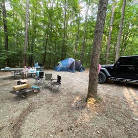 Redbud Campground at Bell Smith Springs Camping | The Dyrt