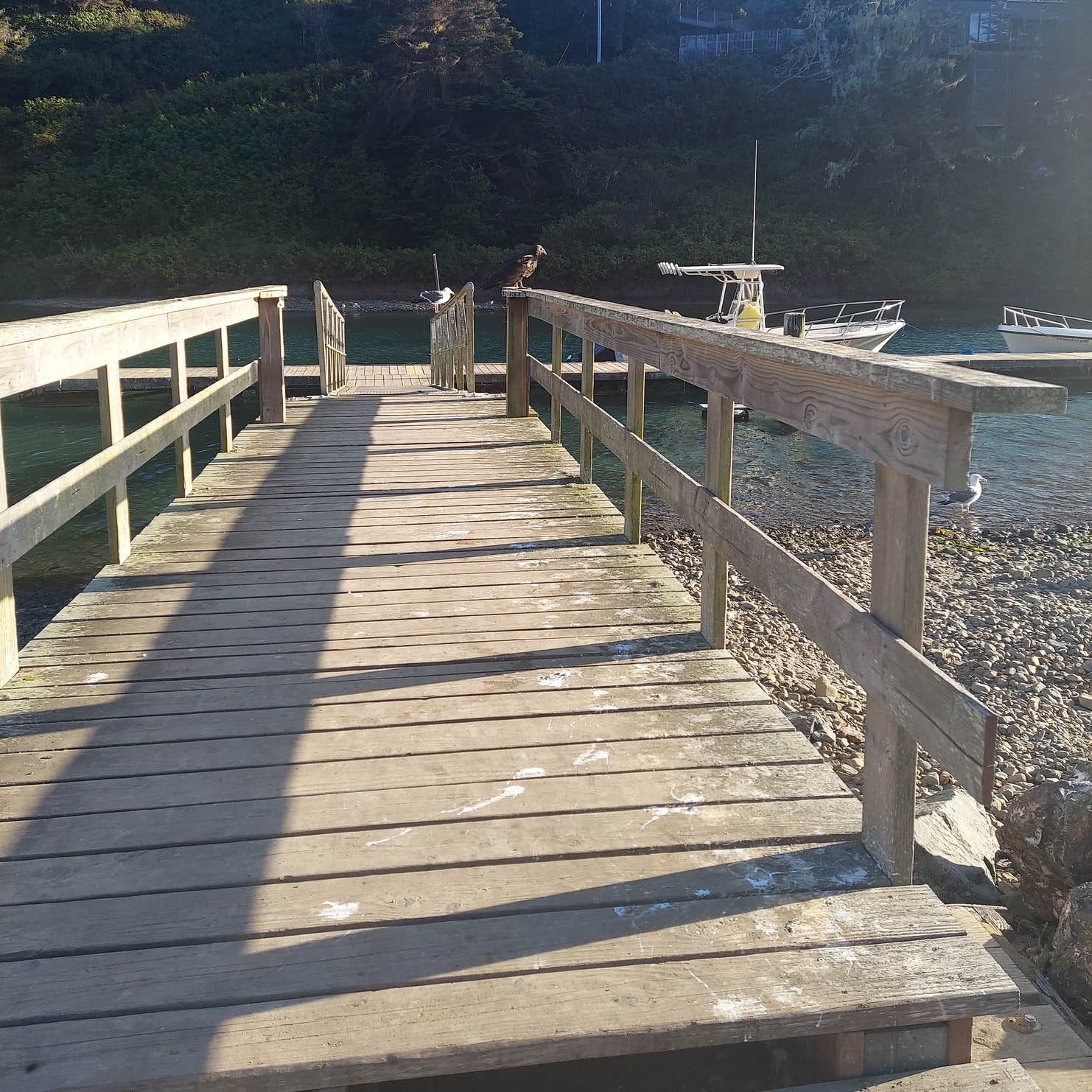 Albion River Campground | Albion, CA