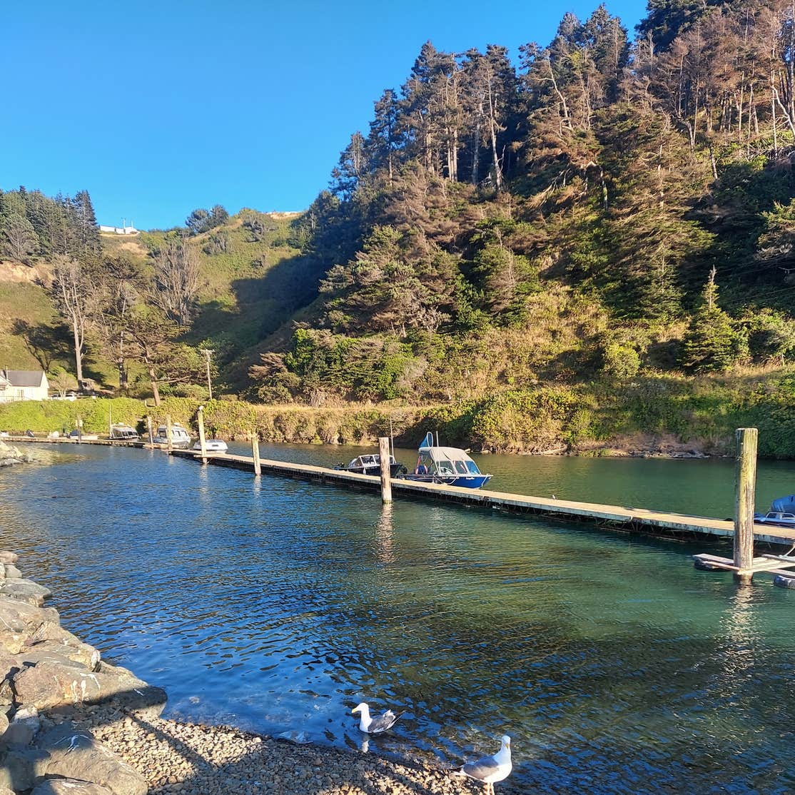 Albion River Campground | Albion, CA