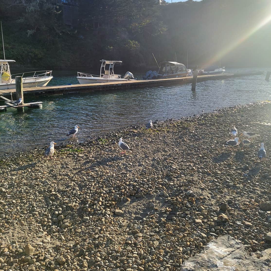 Albion River Campground | Albion, CA