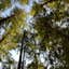 Promontory Park Camping | Estacada, Oregon