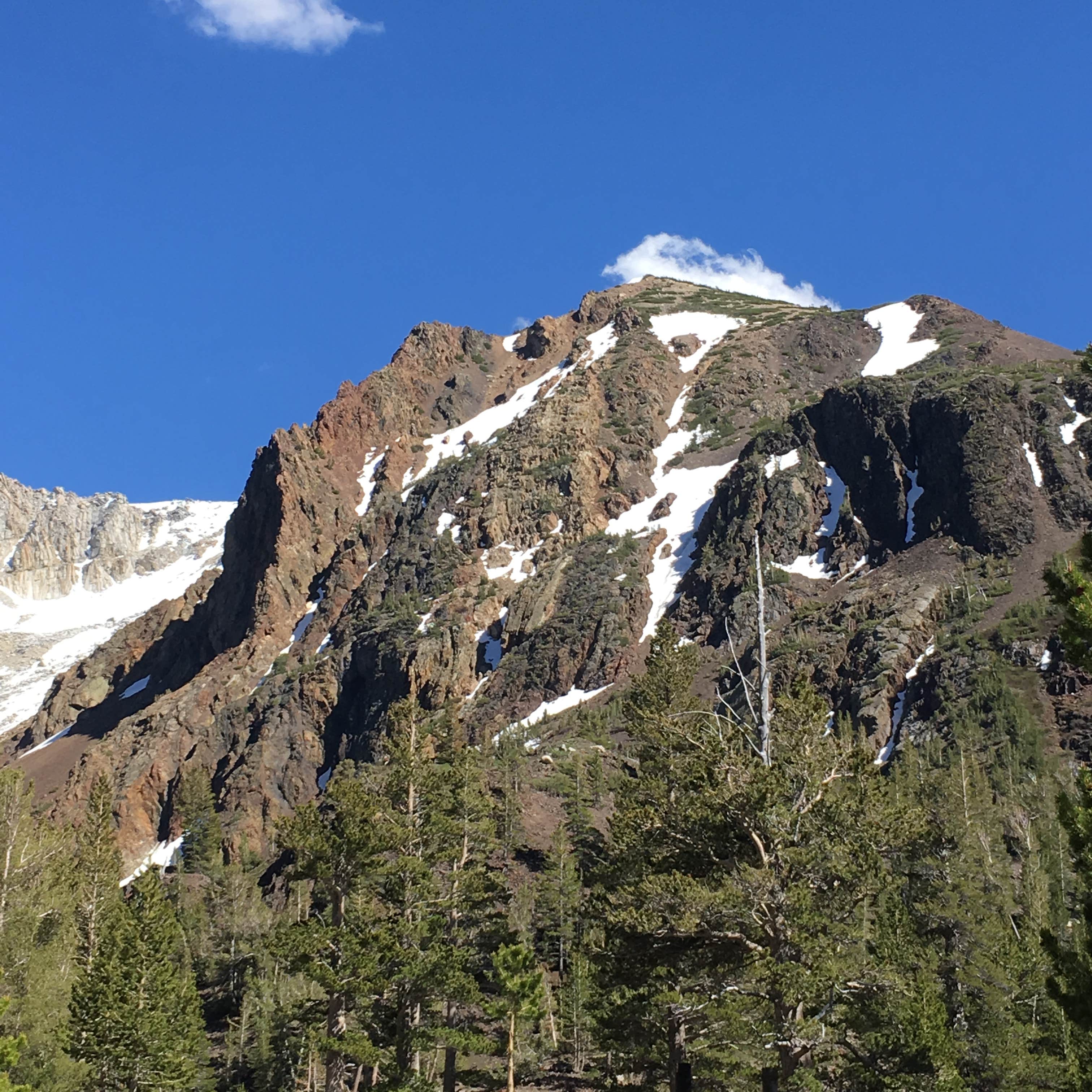 Ellery Campground Camping | The Dyrt