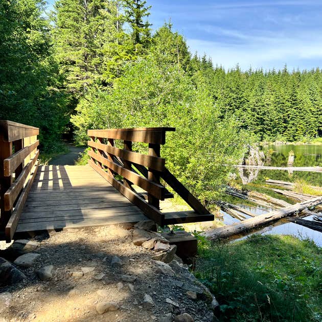Snag Lake Campground | Naselle, Washington