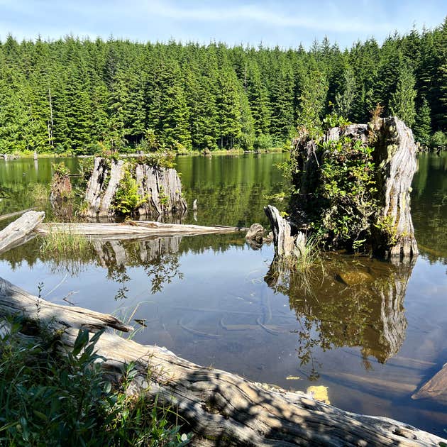 Snag Lake Campground | Naselle, Washington