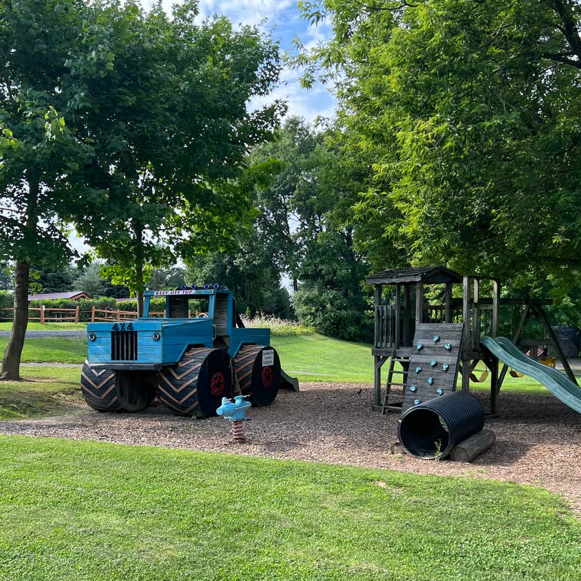 Junius Ponds Camping | The Dyrt