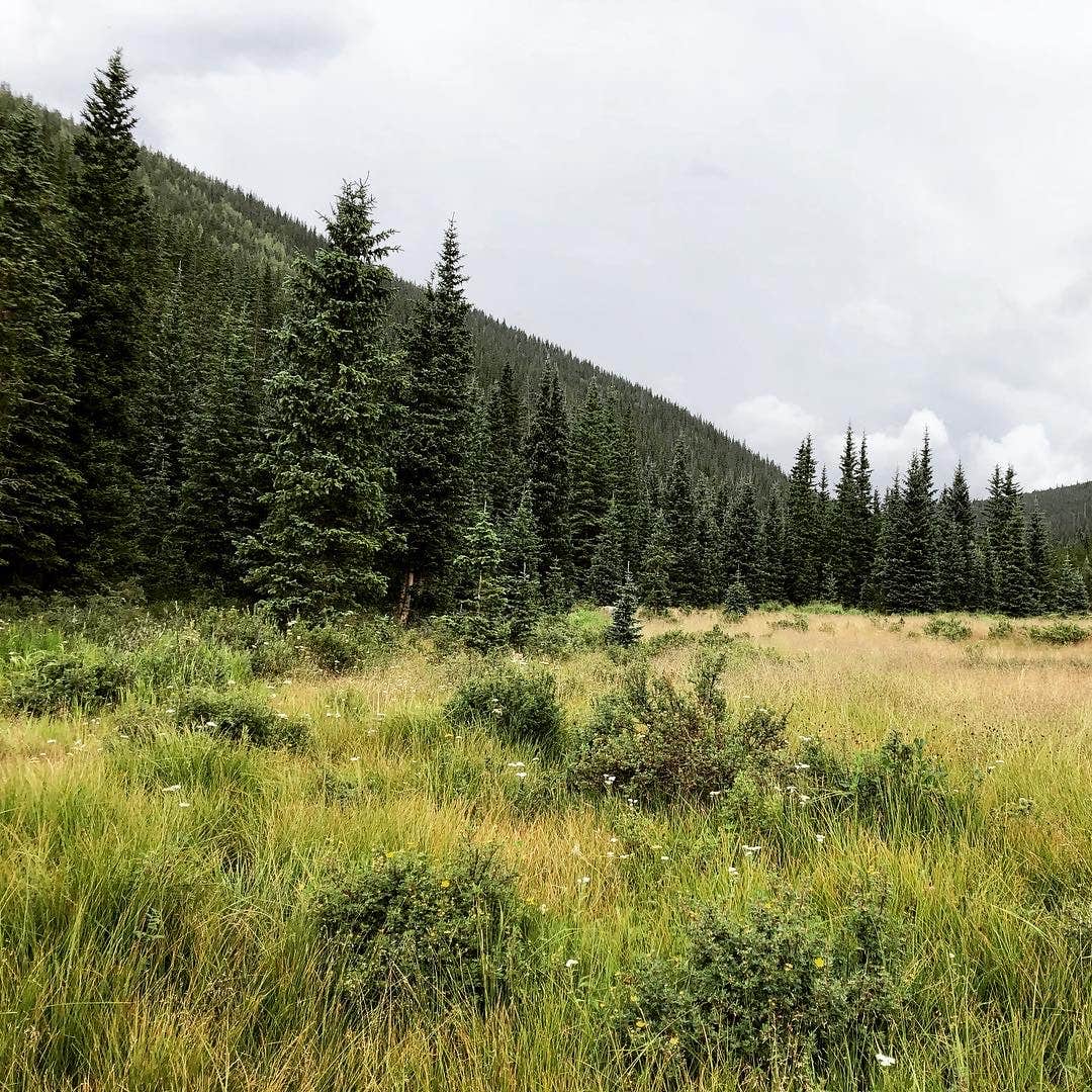 Gold Camp Road/Forest Service Road 376 Dispersed Camping | The Dyrt