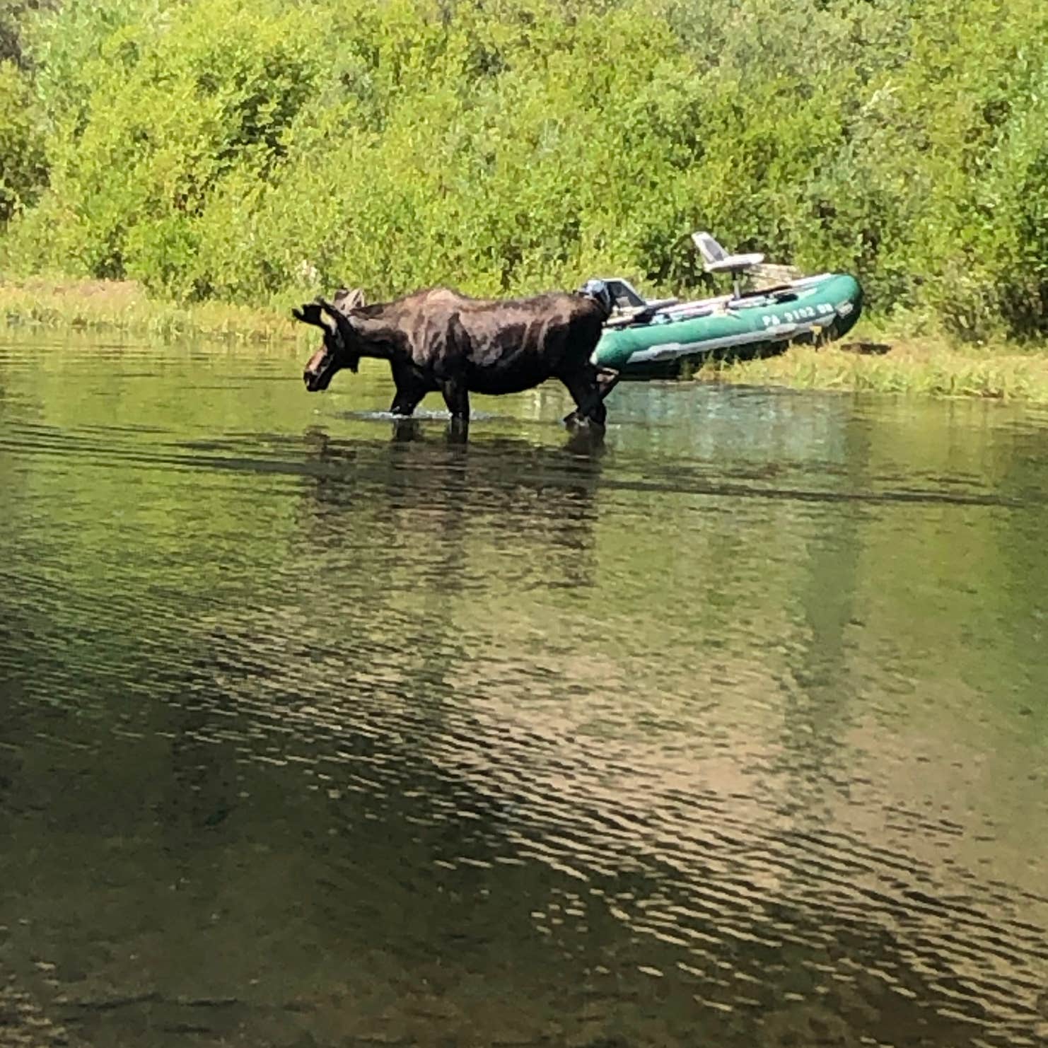 Red Rock RV Park by Open Road Resorts | Island Park, Idaho