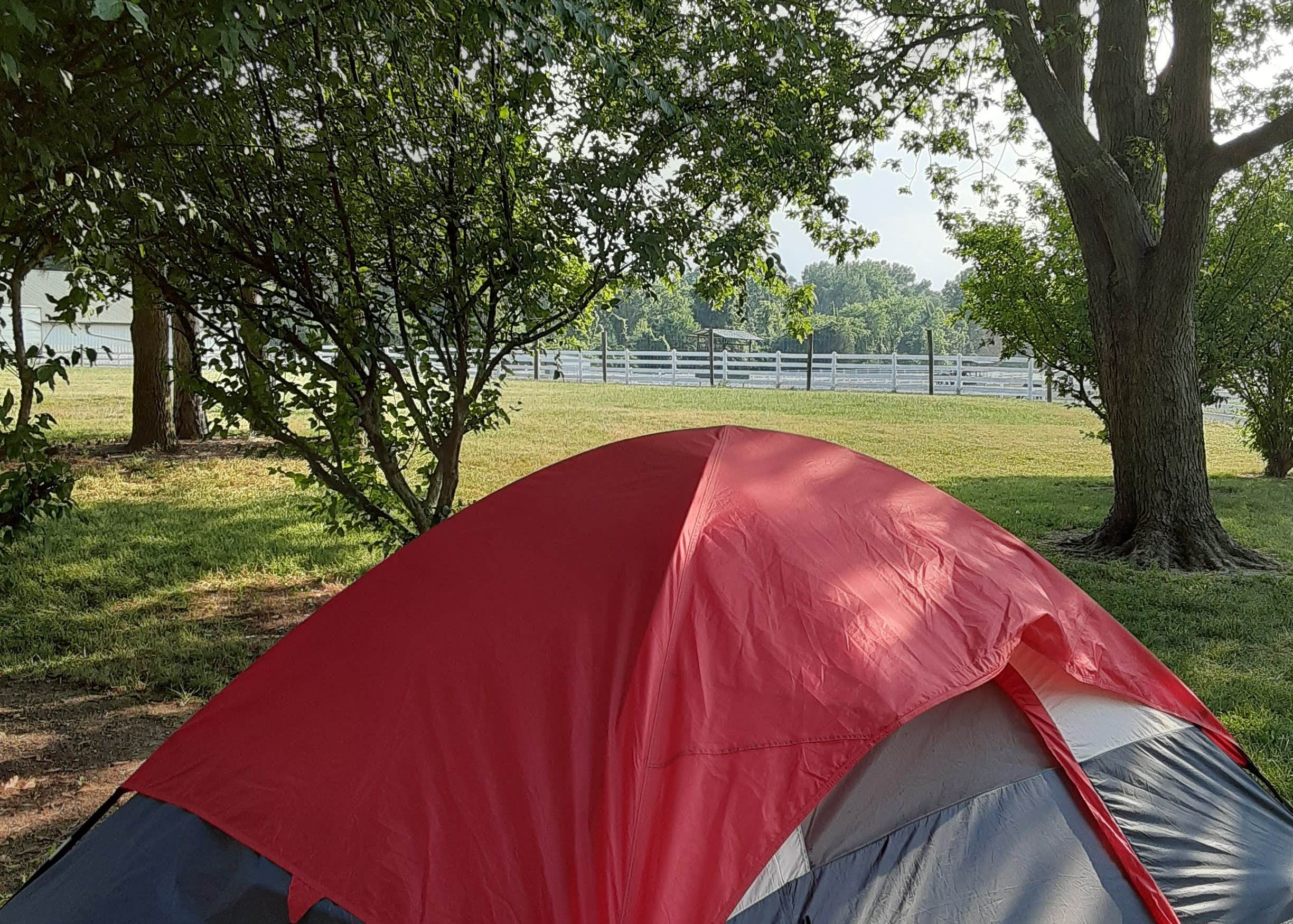 Cedarlane RV Park Camping | The Dyrt