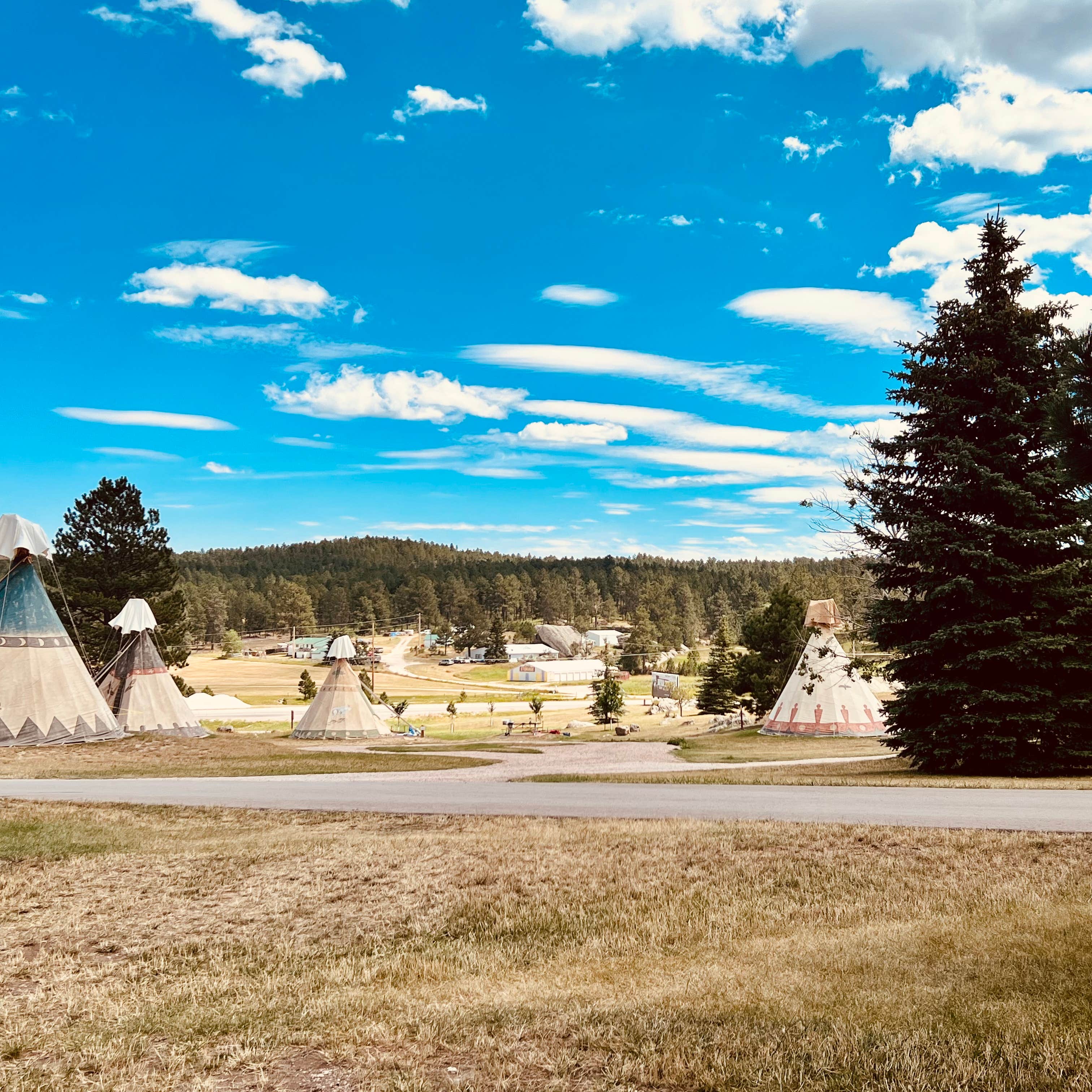 Buffalo Ridge Camp Resort | Custer, South Dakota