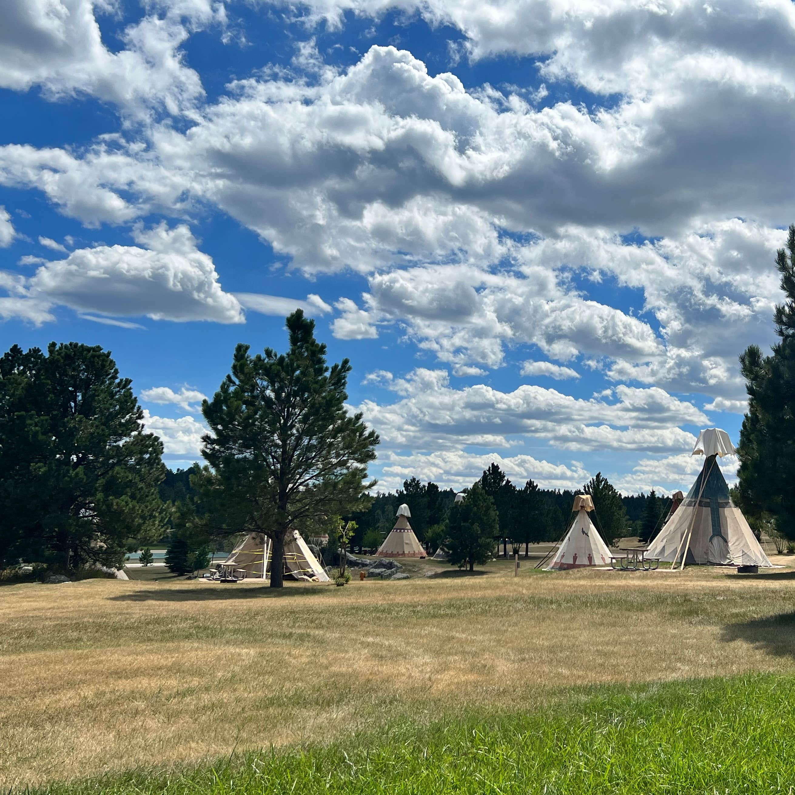 Buffalo Ridge Camp Resort | Custer, South Dakota