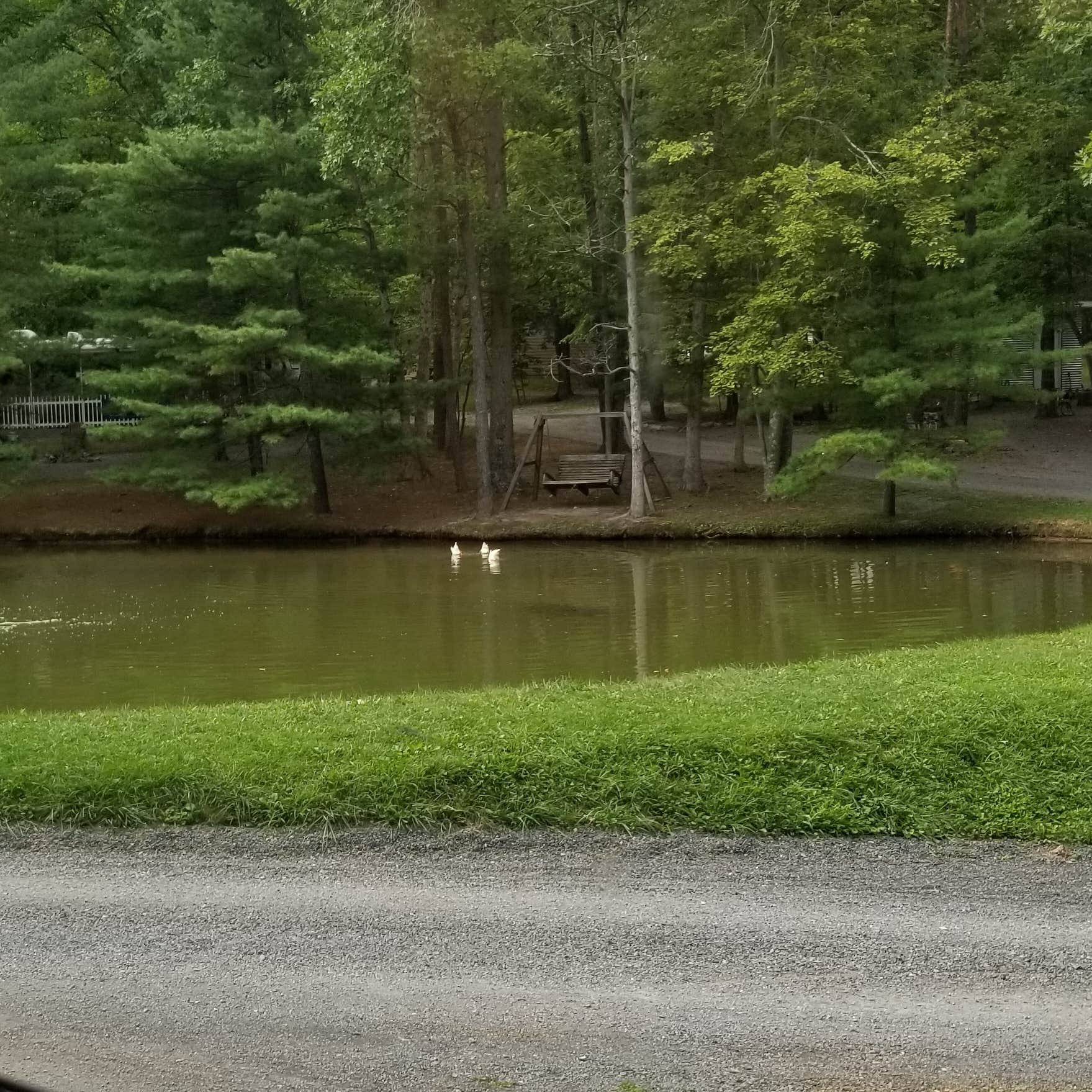 Rvino - Ridge Rider Campground, LLC | Little Orleans, Maryland