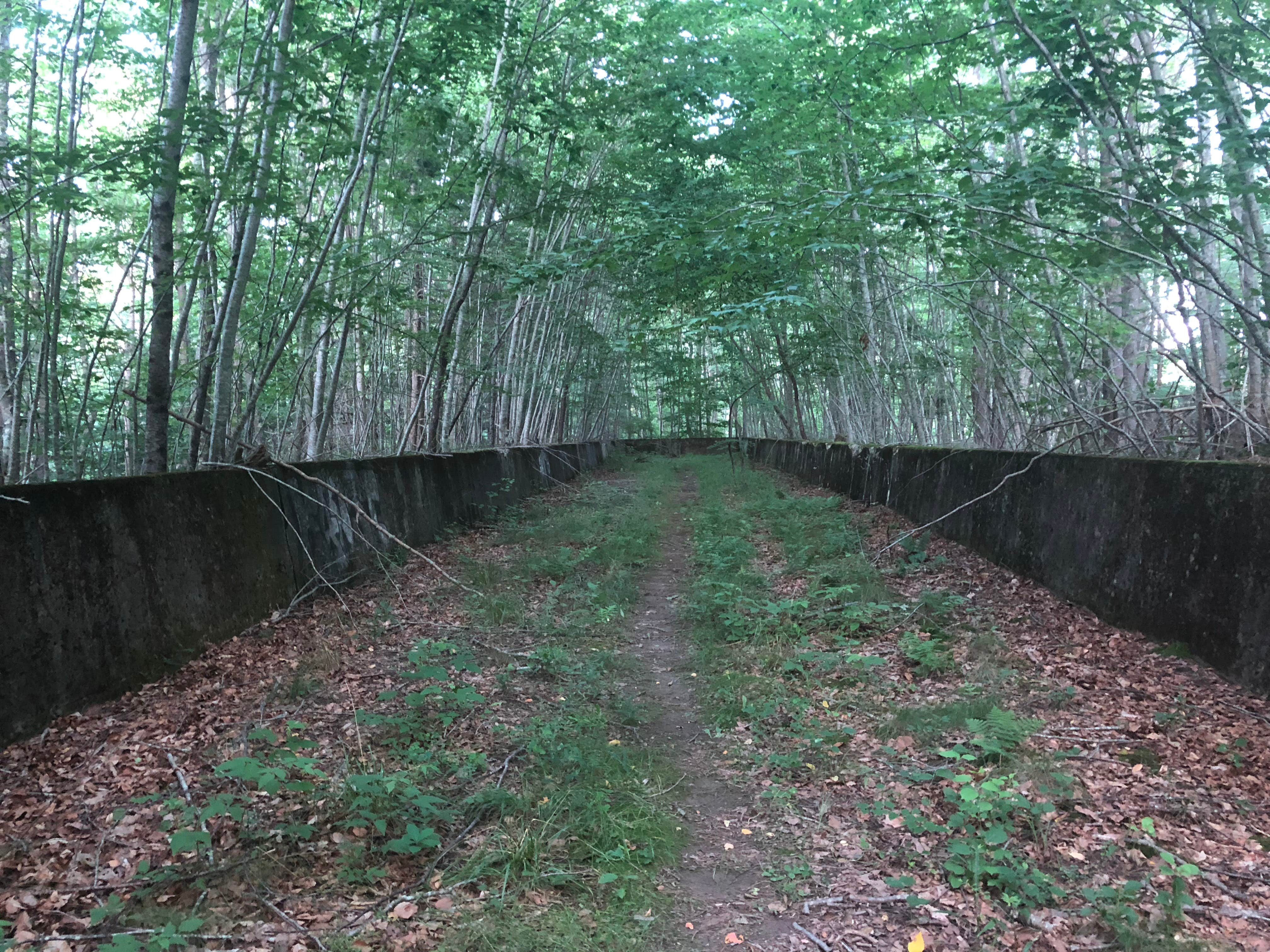 Wompatuck State Park Campground | Hingham, MA